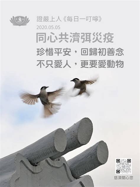 證嚴上人《每日一叮嚀》 靜思書軒台北舊分會 Jing Si Books Taipei Old Branch