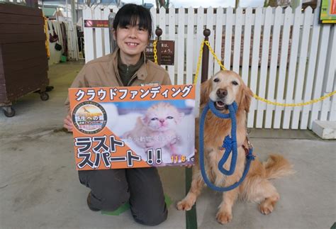 那須どうぶつ王国 わんこと共にラストスパート‼ 那須どうぶつ王国が挑戦中の クラウドファンディング 本日終了23時まであと6時間をきりまし
