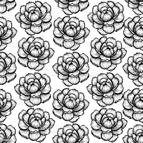 매끄러운 패턴 모란 꽃과 잎 손으로 그린 식물 삽화 라인 아트 0명에 대한 스톡 벡터 아트 및 기타 이미지 0명 개화기 고풍스런 Istock