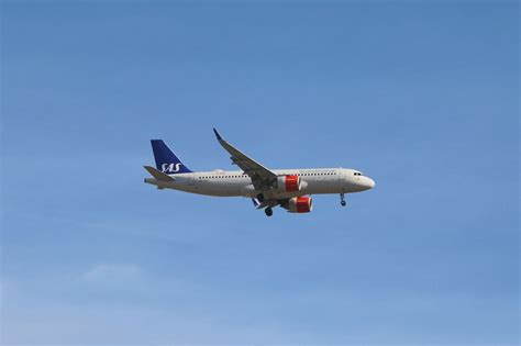 Una rata se subió a un avión de polizonte y lo obligó a aterrizar de