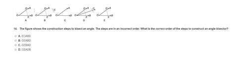Marcella Drew Each Step Of A Construction Of An Angle Bisector Angle Z