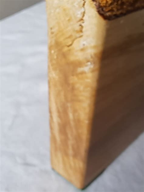 Pyrography Drawing Of An Oak Tree By The Wood Rescuer Etsy UK