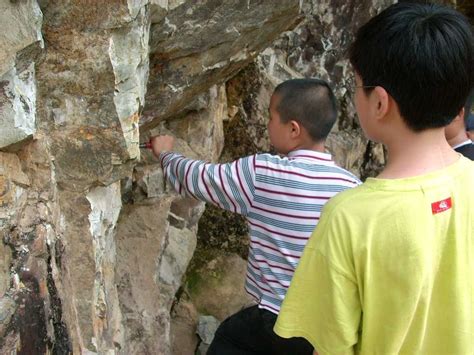 我校师生参加2007年“武夷山生物多样性和植被保护”生态夏令营