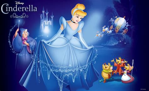 Cinderella Cinderella Wildlife Conservation Network