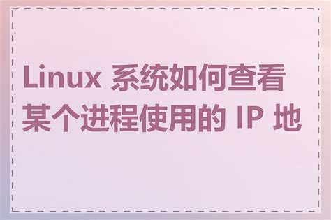 Linux 系统如何查看某个进程使用的 Ip 地址