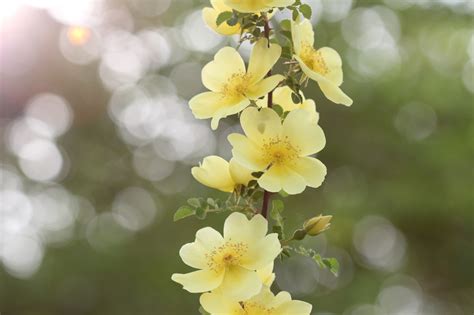 세상사는 이야기 Band Page