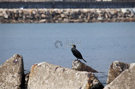 海边的浮云高清图片下载 正版图片320599151 摄图网