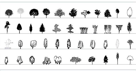 005 Vegetation Cad Blocks Trees Elevation 3dshopfree