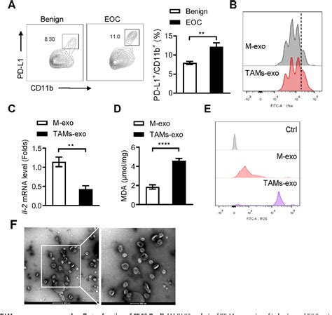 Figure 1 From Exosomes Released From Pd L1 Tumor Associated