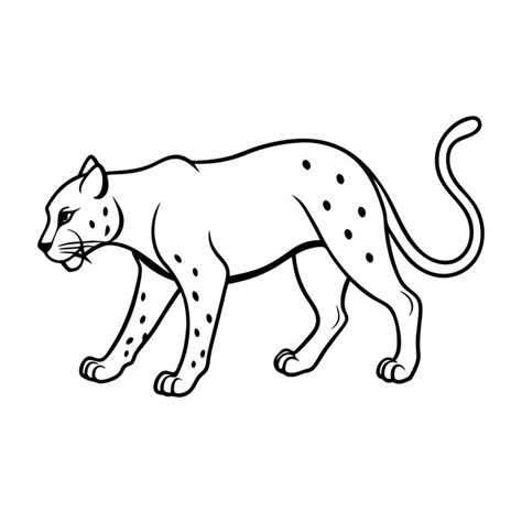 Premium Vector Jaguar Stalking Line Art
