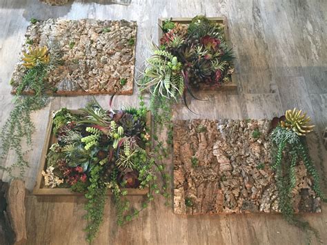 Cork Board For Plants At Layla Weedon Blog