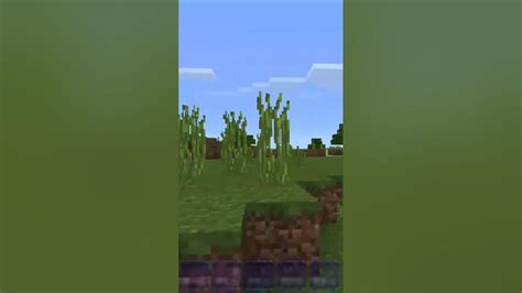 серенаголовый Youtube