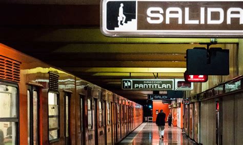 Monkeys Are Having Gay Sex All The Time Study Finds