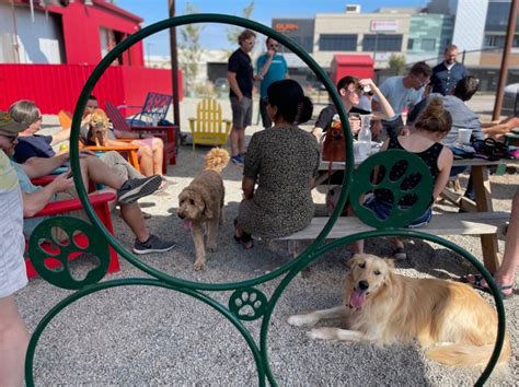 Phase 2 On Linkedin Companyculture Techjobs Developerjobs