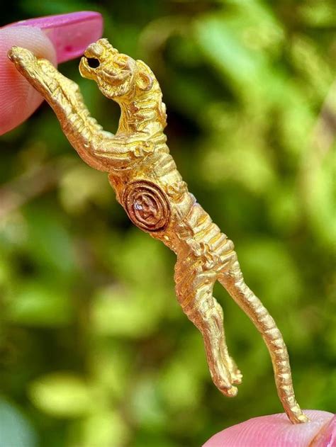 เสือรุ่น4 เนื้อทองเหลือง 🌼เก๊กฮวย หลวงปู่เเย้มวัดตะเคียน นนทบุรี Ennxo