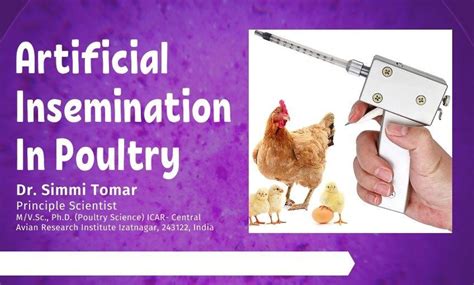 Artificial Insemination In Poultry Sr Publications