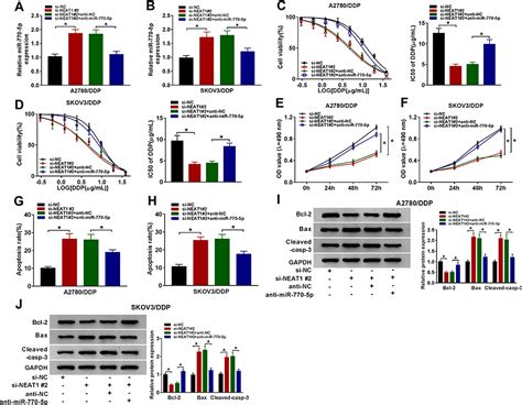 Neat1 Knockdown Suppresses The Cisplatin Resistance In Ovarian Cancer