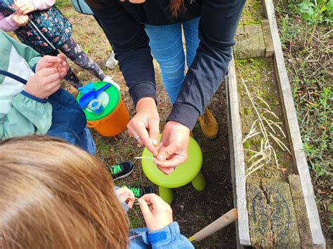 Projekt Starke Familien Der Johanniter Kita Pasewalk Bauernverband