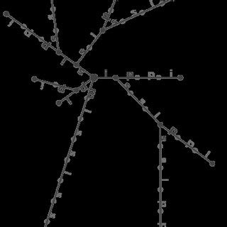 a Suffix trie and tree for ω mississippi states of the suffix Download Scientific Diagram