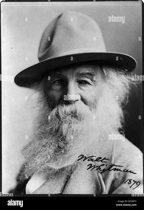 Walt Whitman 1819 1892 LCCN2002710160 Stock Photo Alamy