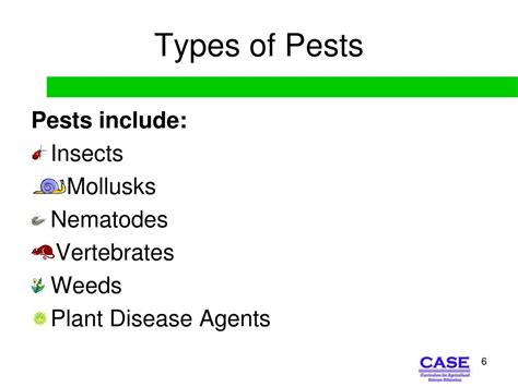 PPT Plant Pests Unit 9 Surviving A Harsh Environment Lesson 9 1 Pesky Bugs And Plants