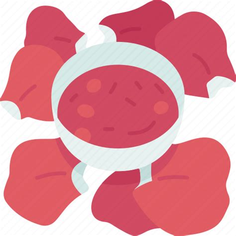 Tilaka Mark Paste Hindu Tradition Icon Download On Iconfinder