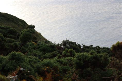 Cliff Walks In Howth Stock Image Image Of Rock Howth 288699715