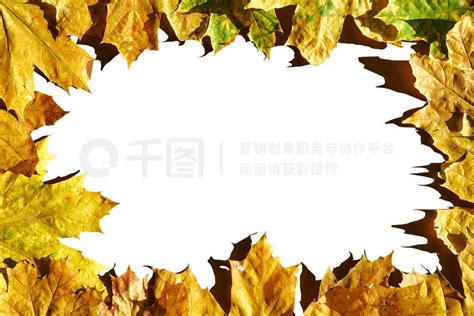 背景高清图片 彩色秋枫叶模型框架颜色趋势背景 彩色秋枫叶模型框架颜色趋势背景图片免费下载 5000486473 千图网Pro