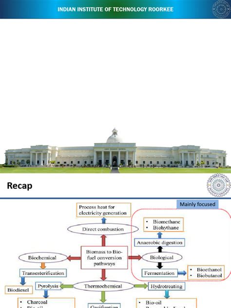 Biological Conversion Routes Of Biomass Pdf Biofuel Anaerobic