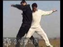 Yinyang Baguazhang Youtube