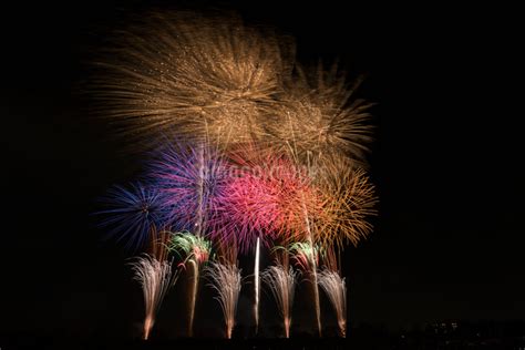 いせさき花火大会の飛翔の写真素材 Fyi01646900 ストックフォトの Qlean Market（キュリンマーケット）