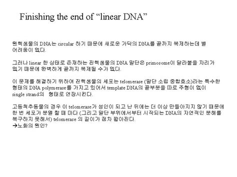 Lecture 3 Dna Replication And Repair Dna Replication
