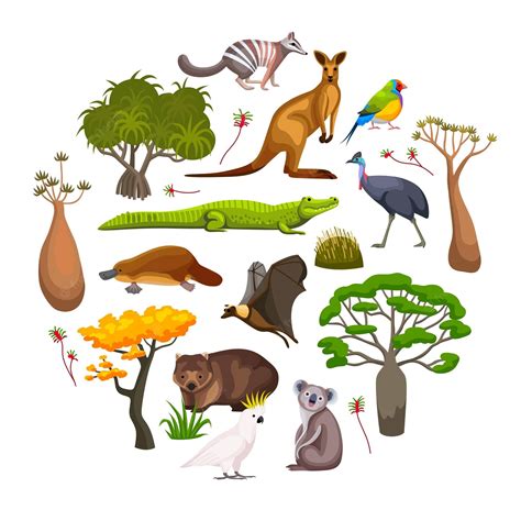 Flora Y Fauna Mini Manual
