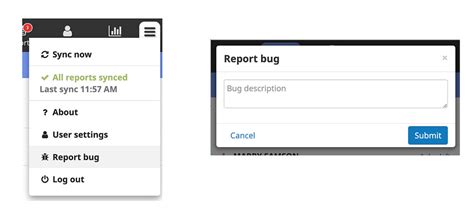 Where To Find Information Submitted In The Report Bug Screen