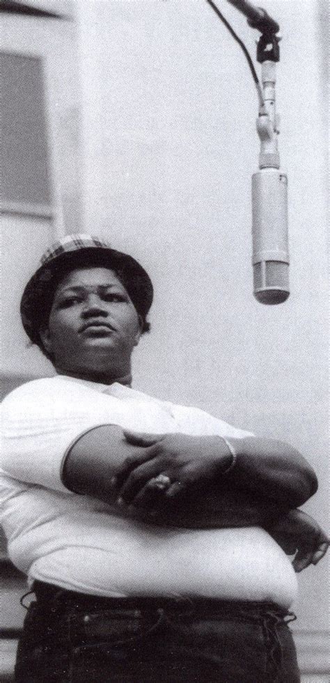 17 Best Images About Big Mama Thornton On Pinterest Rhythm And Blues