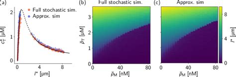 Fig S6 Comparison Between An Exact Gillespe Algorithm Stochastic Download Scientific