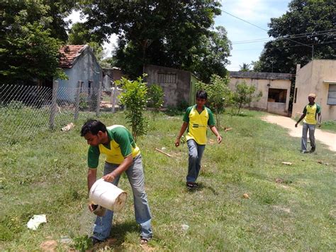 Pillars Of India The Green 500 Tree Plantation Project At Arani By Arani ExNoRa And Pillars Of