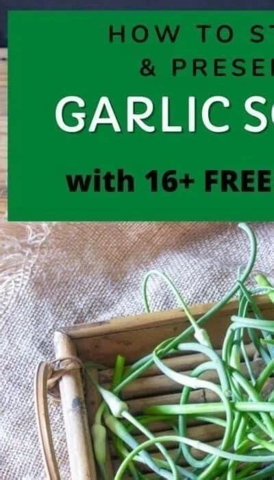 How To Freeze Collard Greens Fresh Freeze Hub