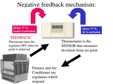 Negative Feedback Loop Thermostat