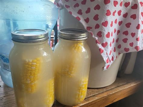 Old Fashioned Fermented Corn A Taste Of Tradition Old Fashioned Recipes