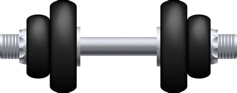 Image Transparent Library Clipart Weights Transparent Background