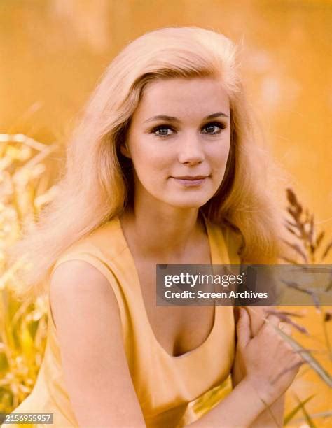 643 Yvette Mimieux Photos And High Res Pictures Getty Images