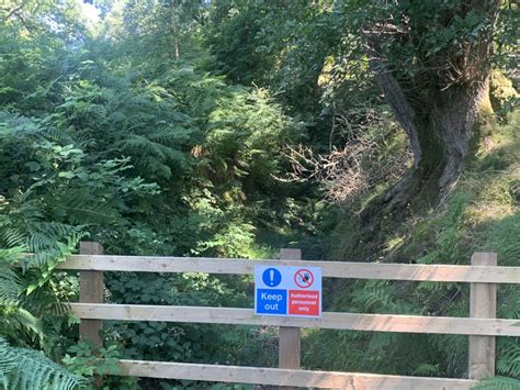 Dolaucothi Roman Mine Roman Britain