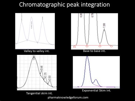 Peak Integration In Hplc How To Avoid Errors And Ensure Accuracy