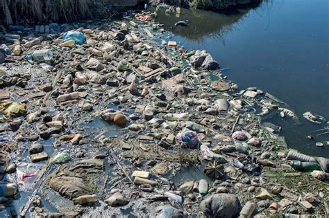 Premium Photo An Ecological Catastrophe