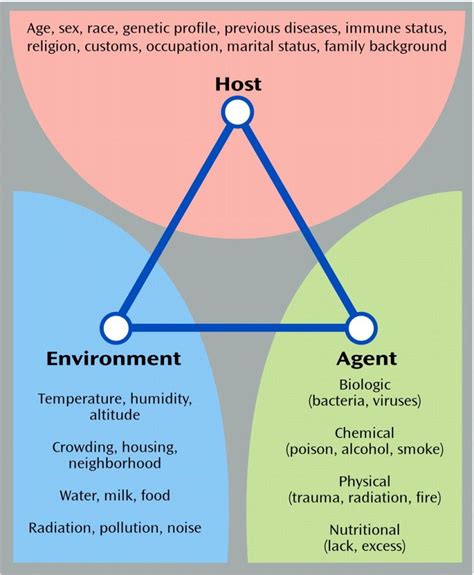 Host Agent Environment Interactions Alicespringstomind