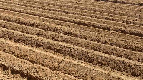 Beginners Guide To Ploughing A Field Ar Richards Ltd