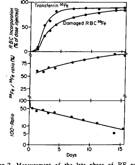 Figure 2 From A Biologic Model For Reticuloendothelial Iron Transport Semantic Scholar