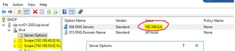 Client Cannot Contact Dhcp Server After The Domain Server Ip Address