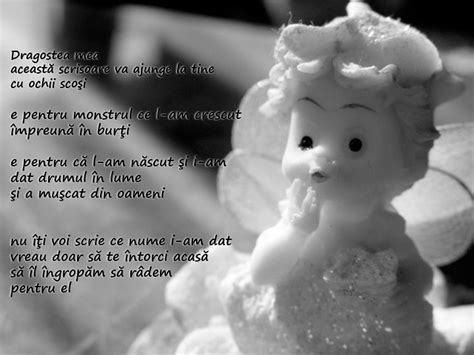 Poezia scrisoare întoarcerea acasă Raul Ionut Coldea